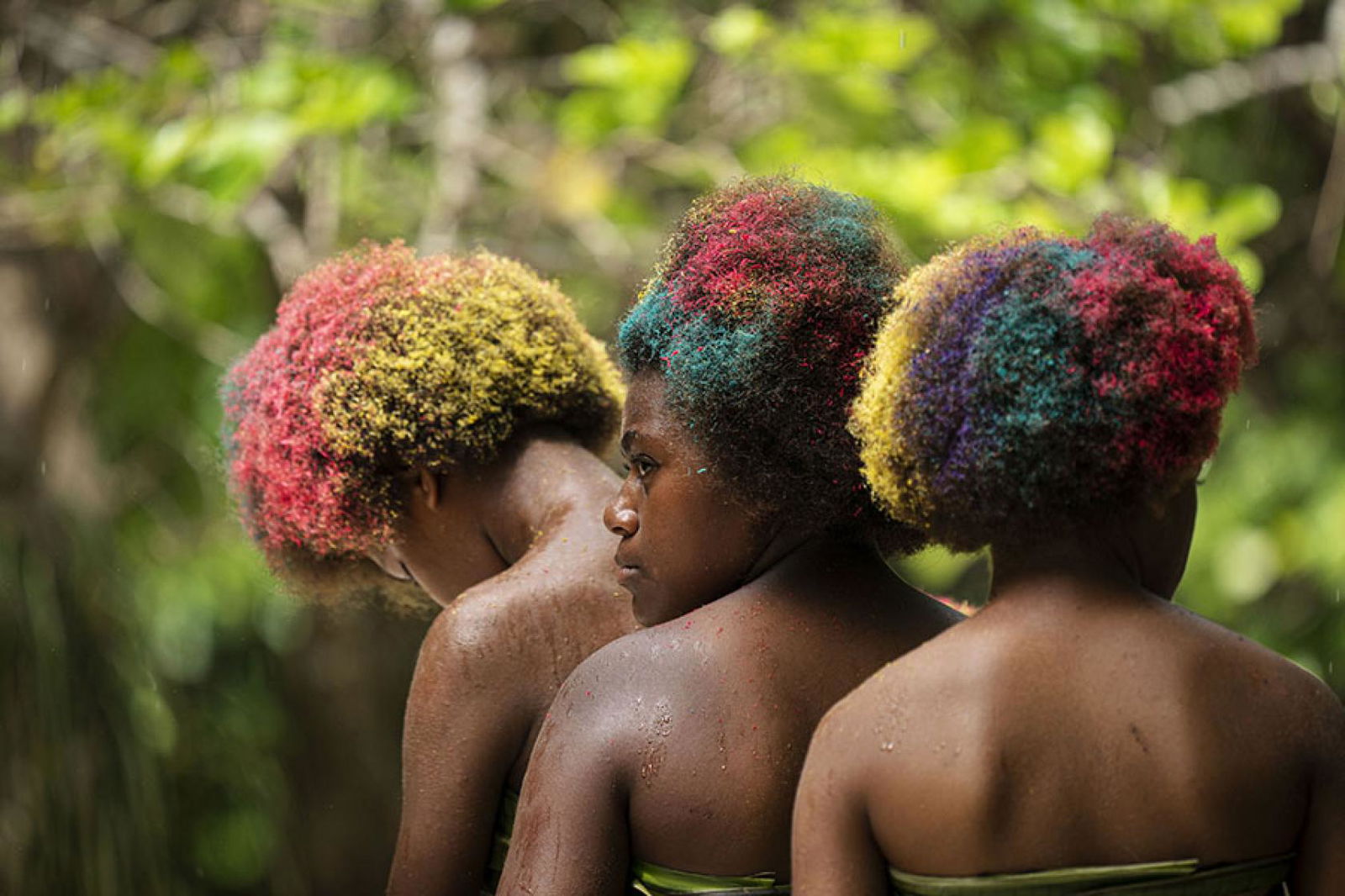 'Our guests discovered 11 new mammal species on an expedition cruise' | TTG